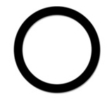 "From One Plurationalist to My Fellow Americans..."